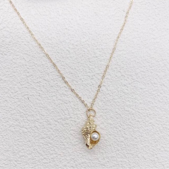 Jewelry | Pearl In A Triton Olive Trumpet Spindle Shell Murex Gold ...